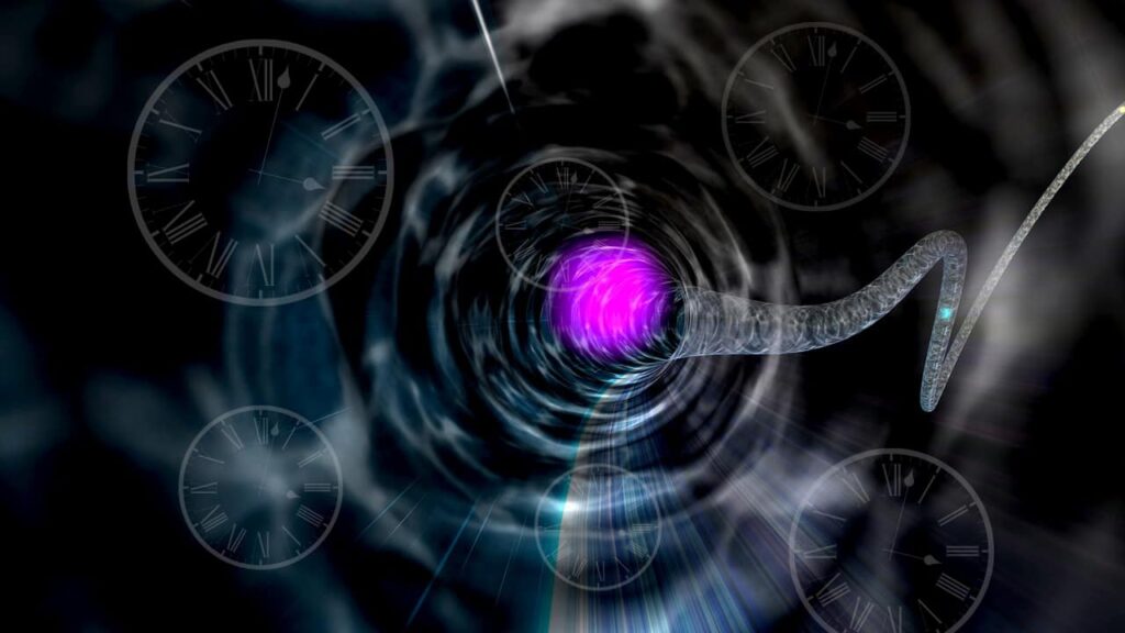 Cosa sono i leptoni? | FuturID