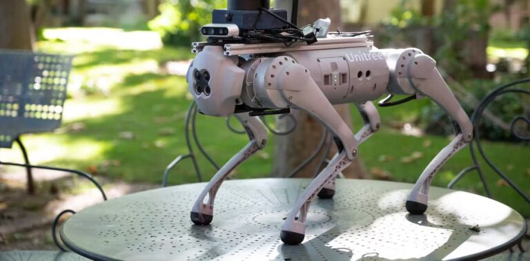 Tefi, il cane robot per non vedenti | FuturID